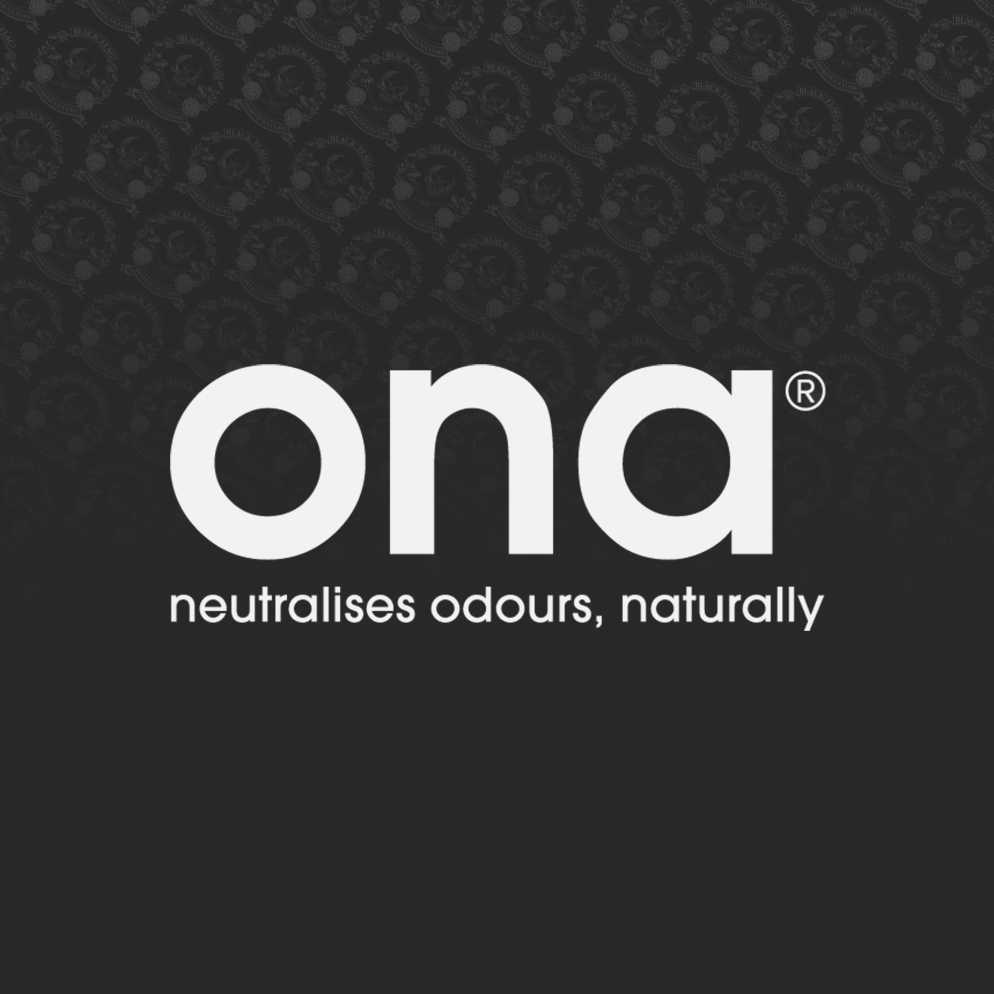 Ona – Black Flag Horticulture